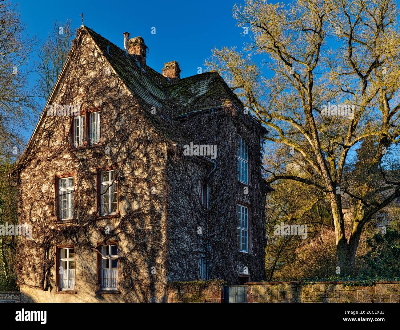Europe, Germany, Hesse, Giessener Land, city of Giessen, gardener's ...