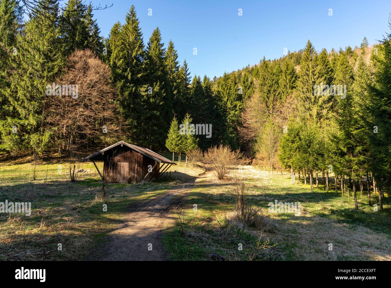 Europe, Germany, Bavaria, Chiemgau, Bavarian Alps, Heuberg, Inntal ...
