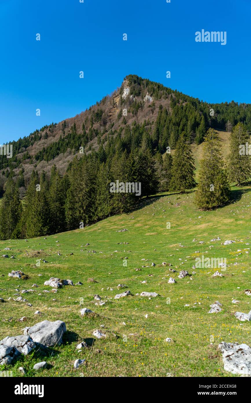 Europe, Germany, Bavaria, Chiemgau, Bavarian Alps, Heuberg, Inntal ...