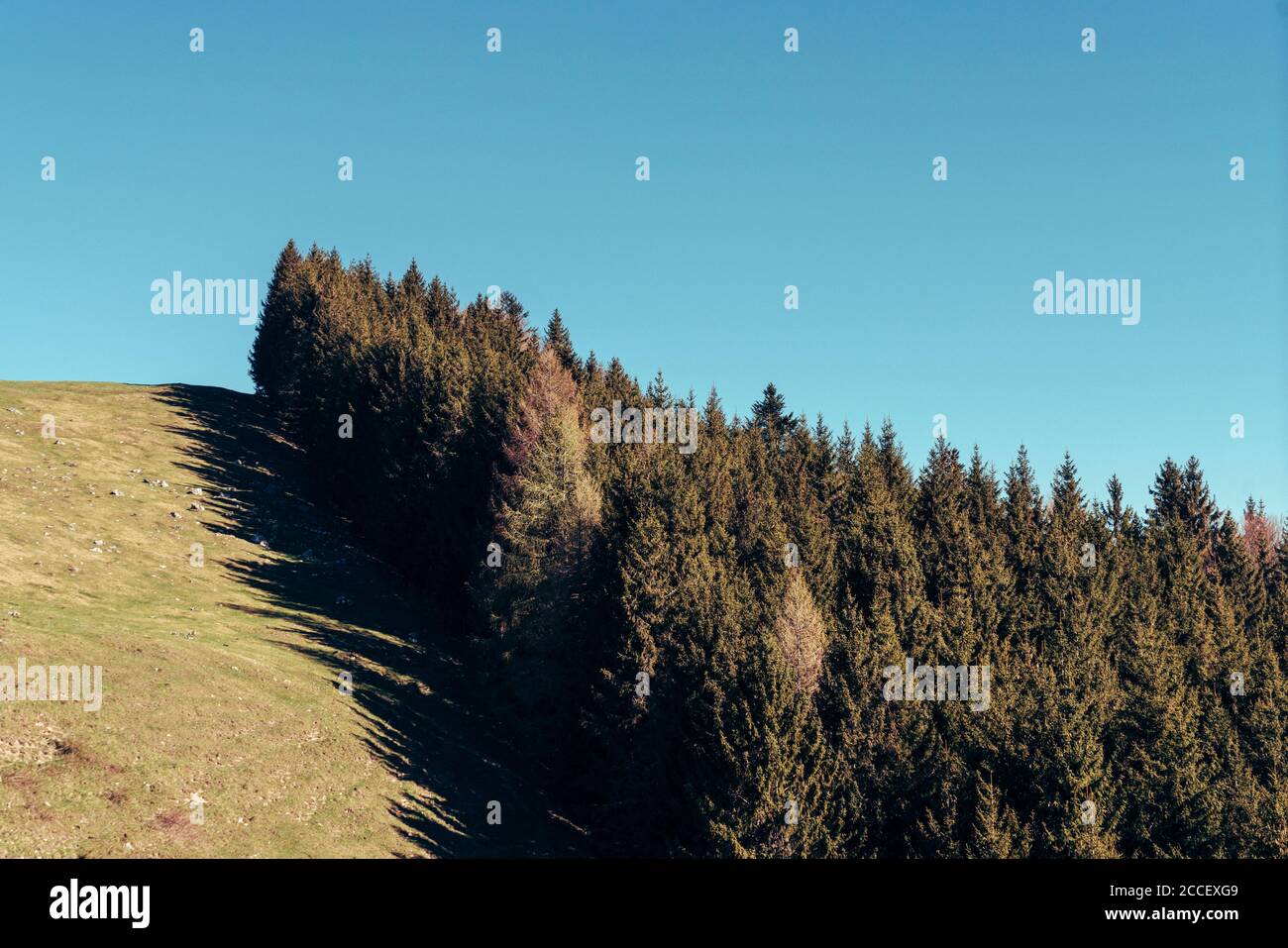 Deindlalm hi-res stock photography and images - Alamy