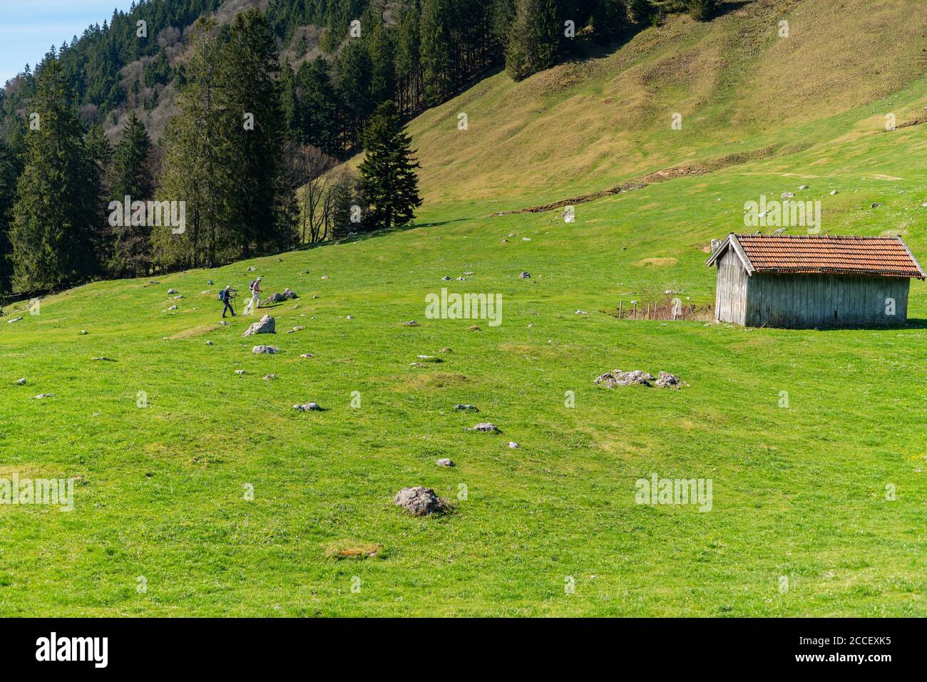 Europe, Germany, Bavaria, Chiemgau, Bavarian Alps, Heuberg, Inntal ...