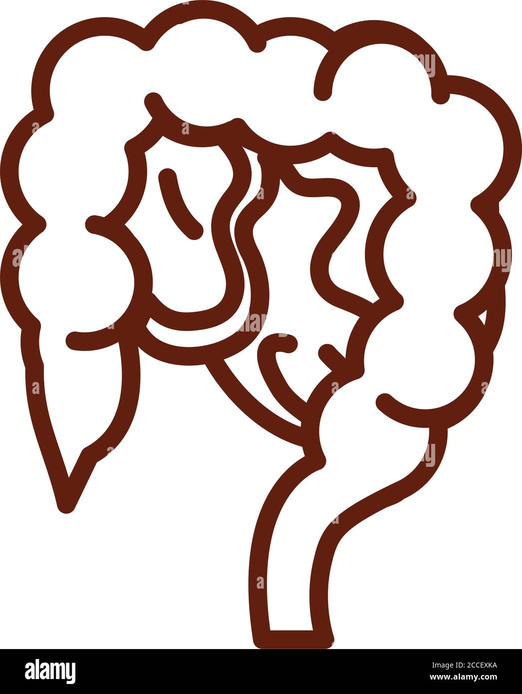 human body intestine anatomy organ health line icon style vector ...