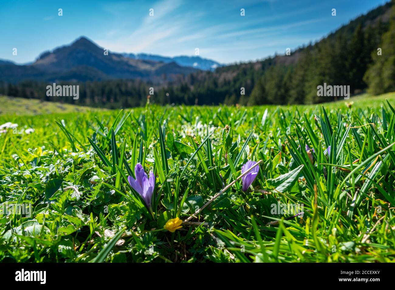 Europe, Germany, Bavaria, Chiemgau, Bavarian Alps, Heuberg, Inntal ...