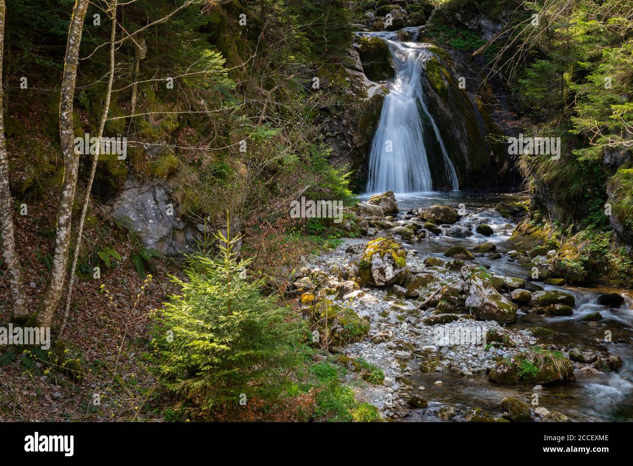 Europe, Germany, Bavaria, Chiemgau, Bavarian Alps, Heuberg, Inntal ...