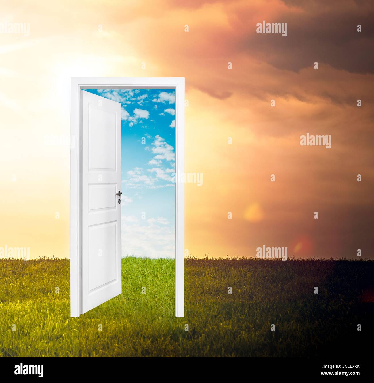 Door outside in a meadow Stock Photo - Alamy