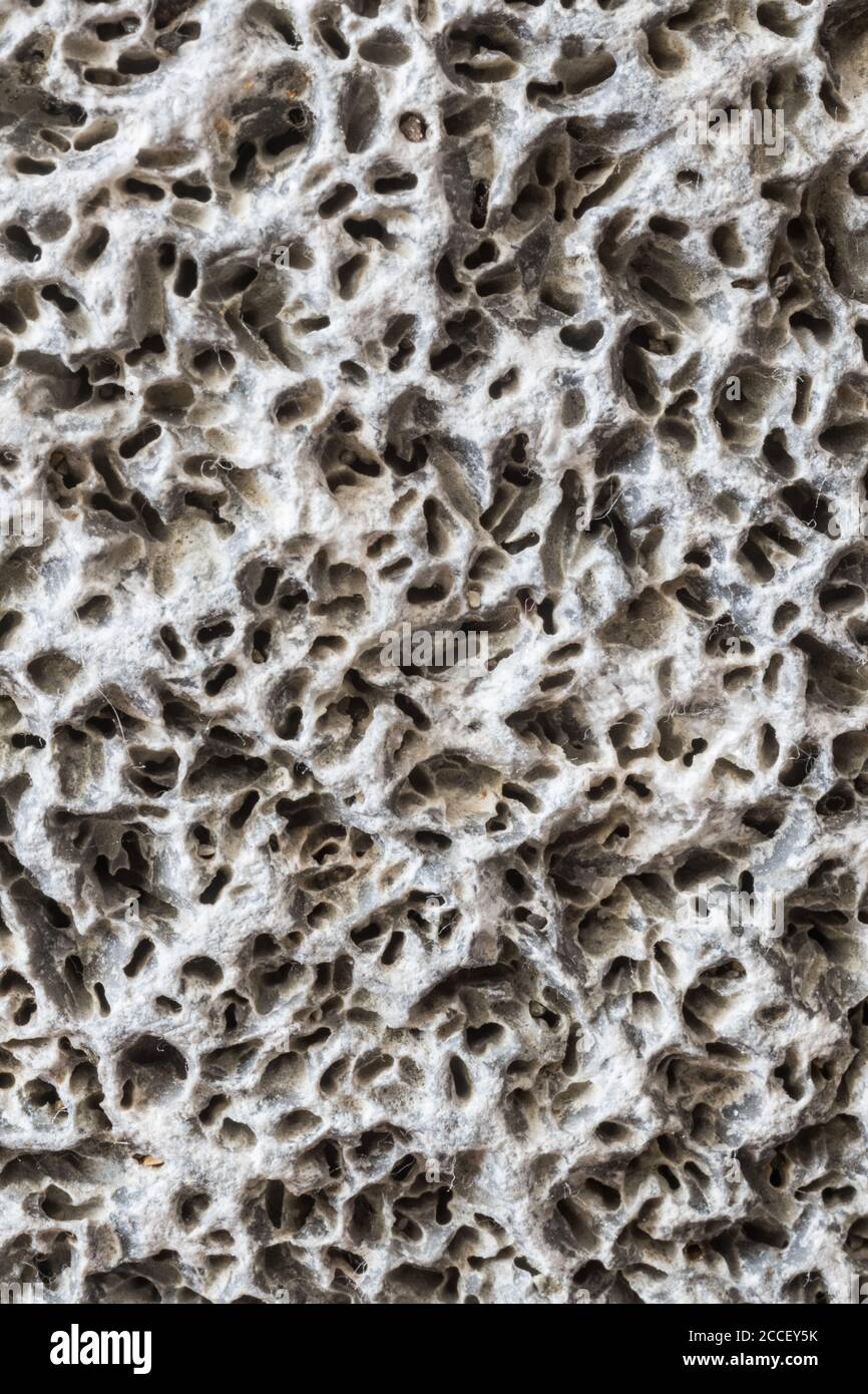 Pumice stone texture close up macro hi-res stock photography and images ...