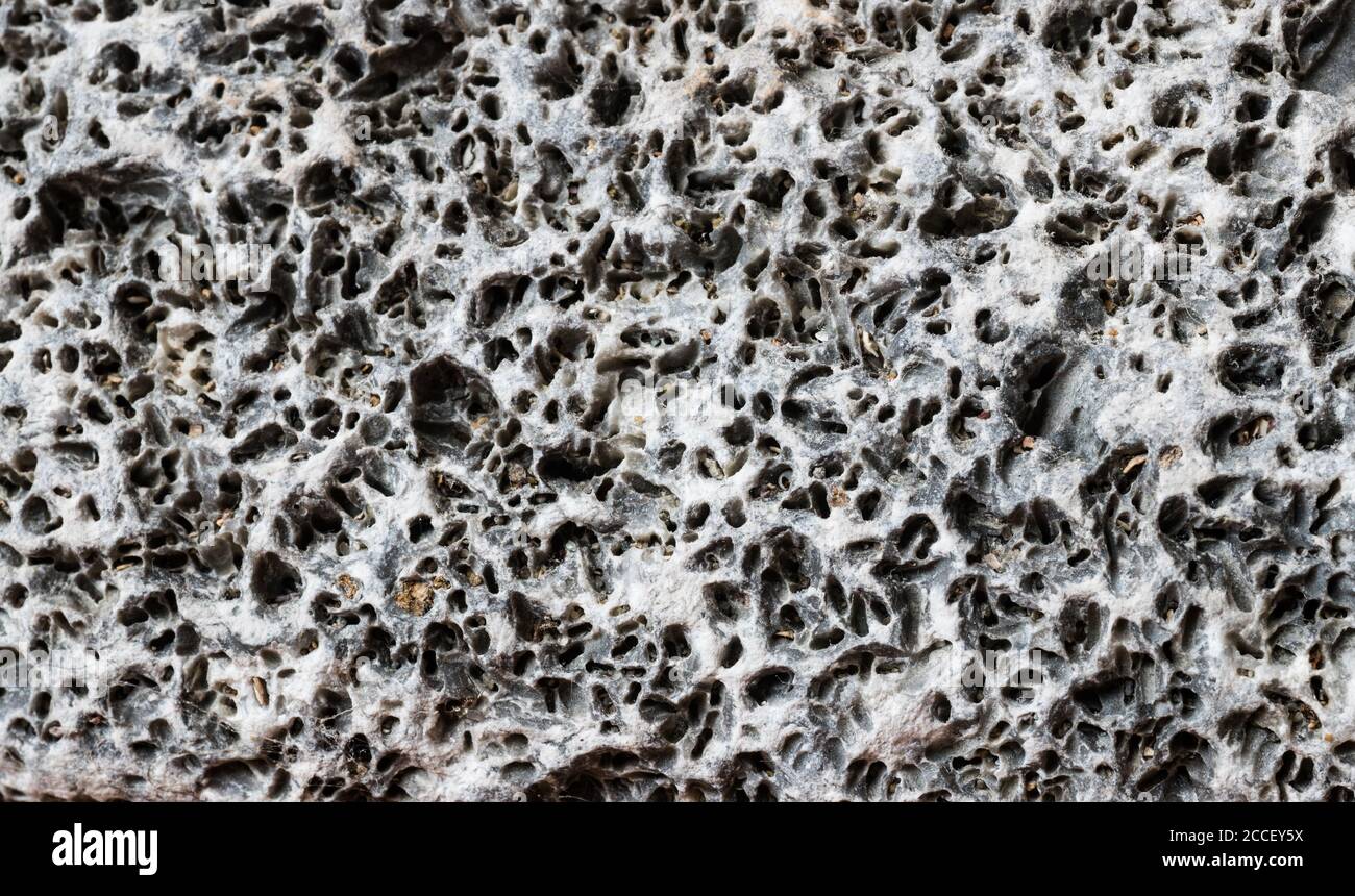 close up macro on Pumice stone background texture Stock Photo - Alamy