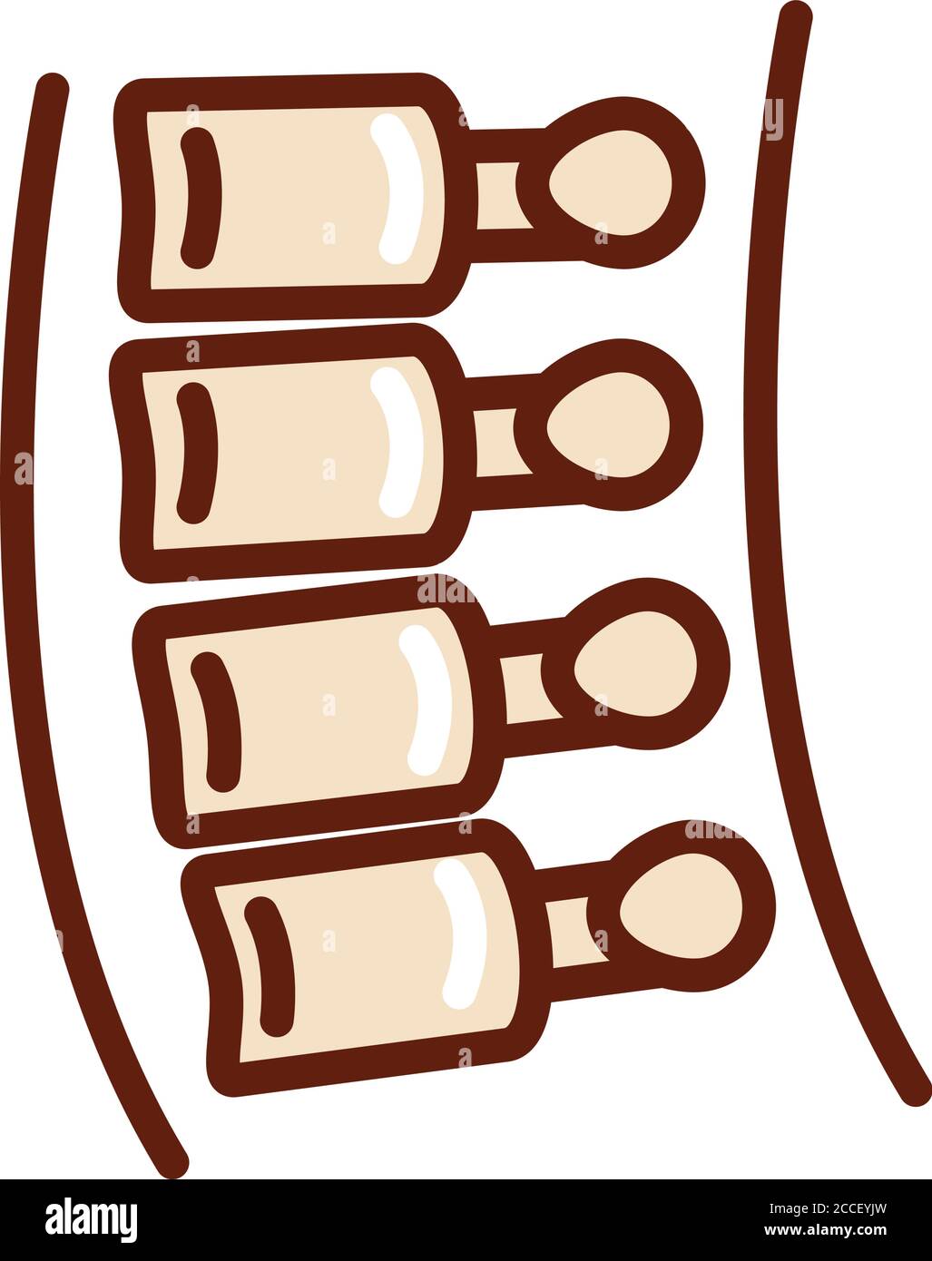 human body spine bones anatomy organ health line and fill icon vector ...