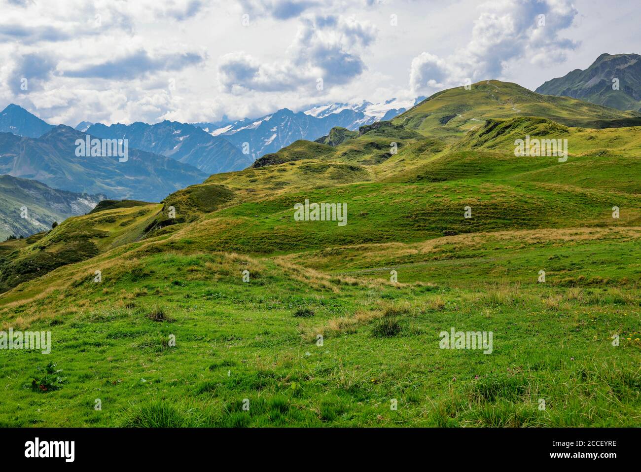 Amazing nature of Switzerland in the Swiss Alps Stock Photo - Alamy