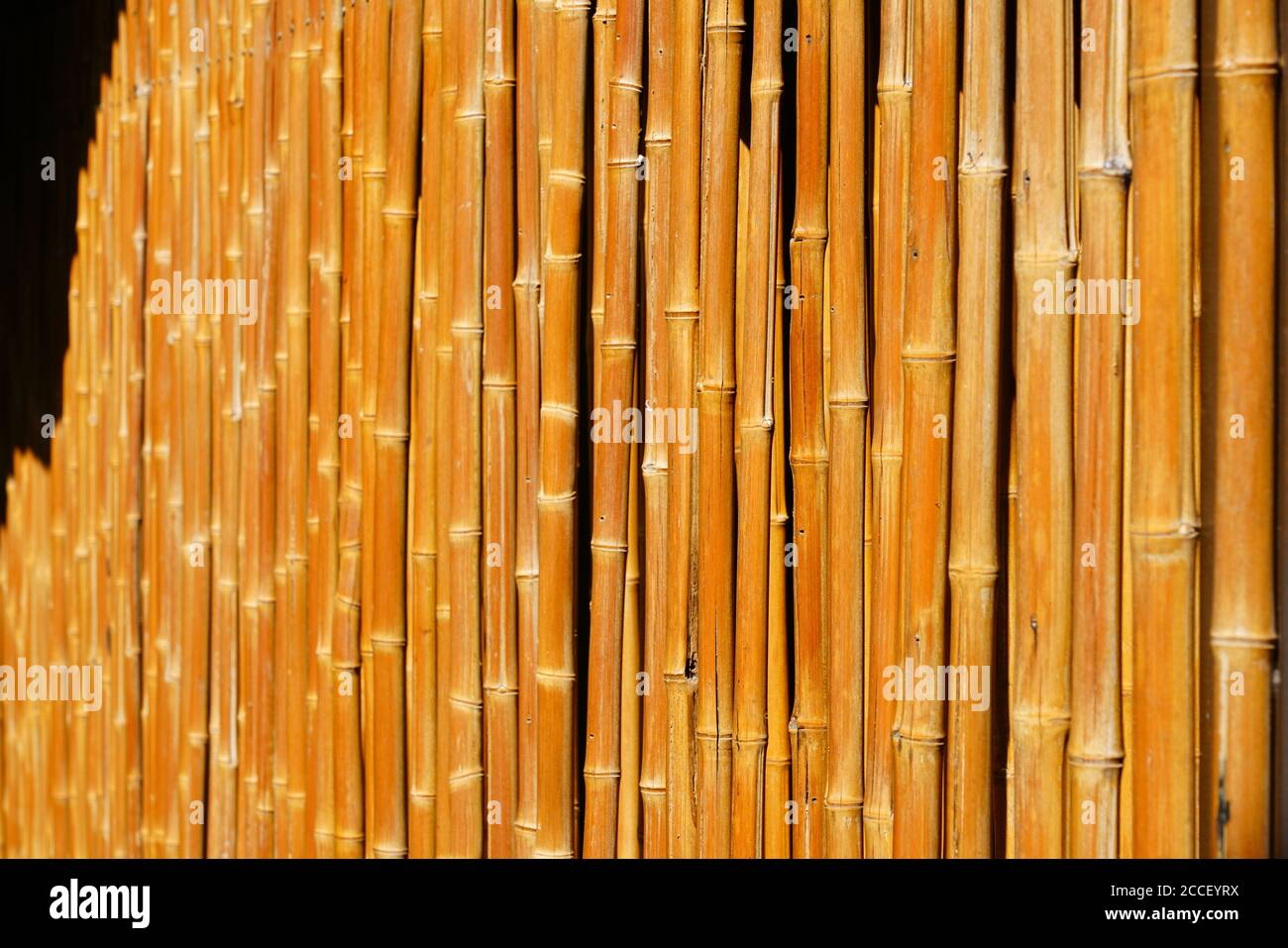 View of a rustic garden bamboo fence Stock Photo - Alamy
