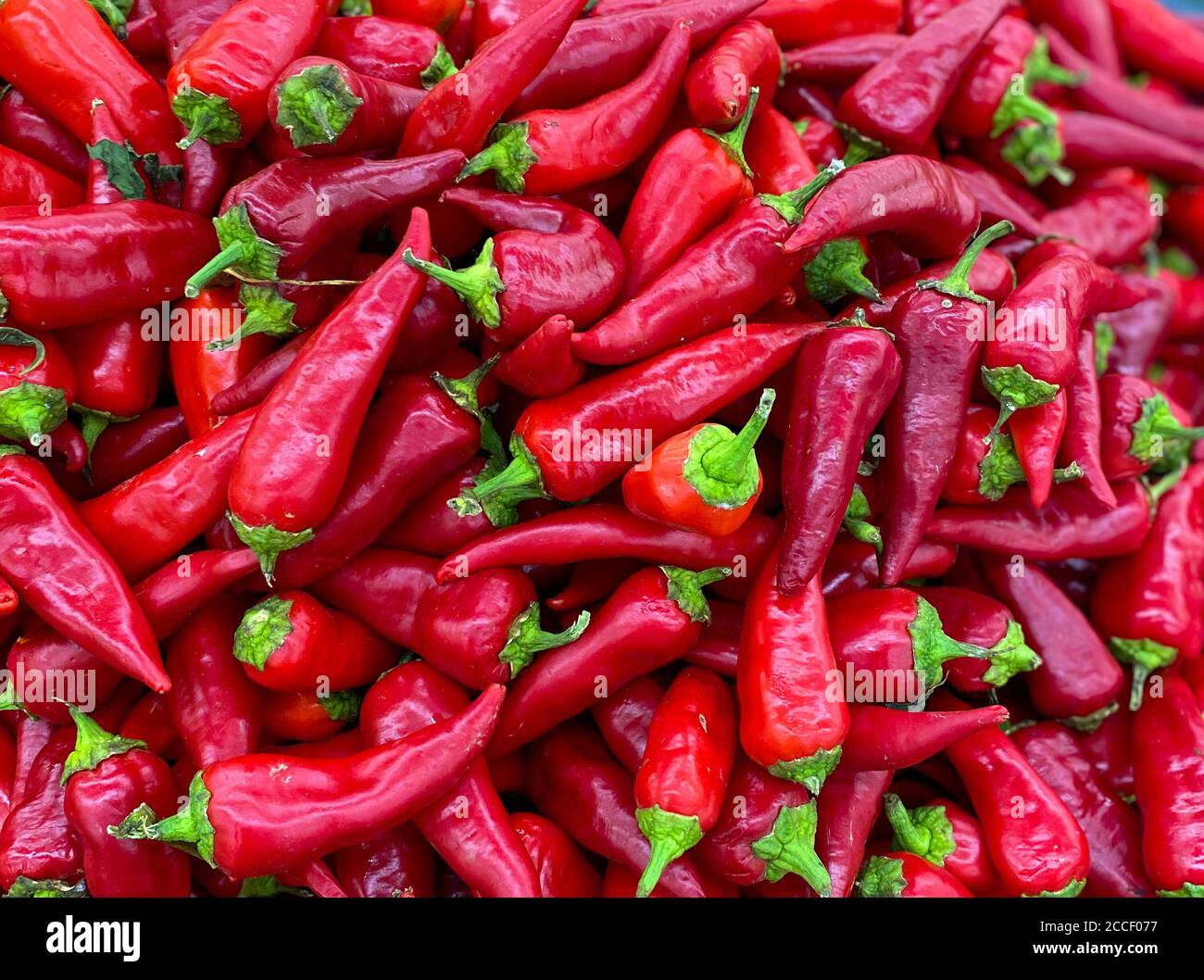 bright red chili peppers on display Stock Photo - Alamy