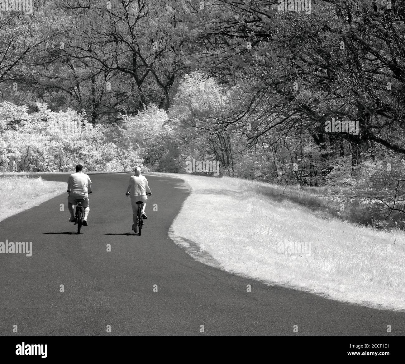 An infrared photo of a couple enjoying a bike ride down a tree-lined ...
