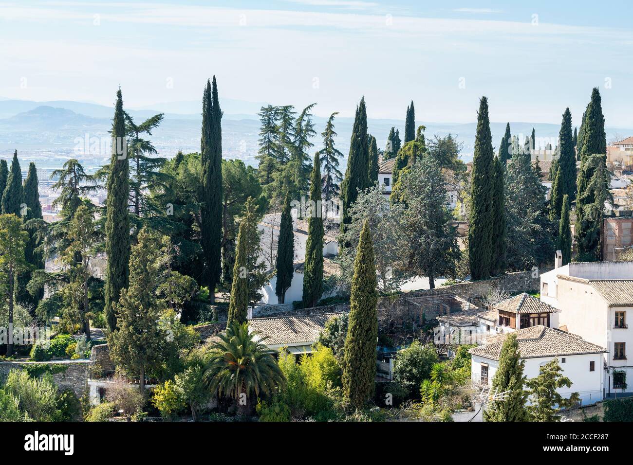 Granada cypress trees hi-res stock photography and images - Alamy