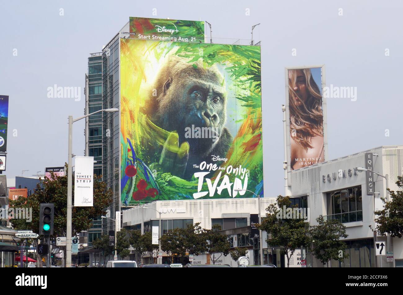 The One And Only Ivan Billboard
