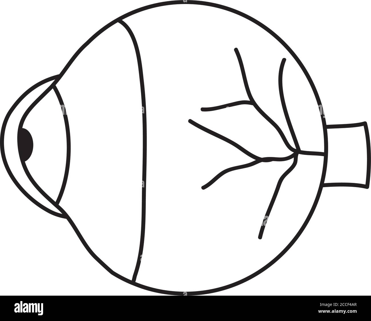 Human Body Concept Eye Organ Icon Over White Background Line Style