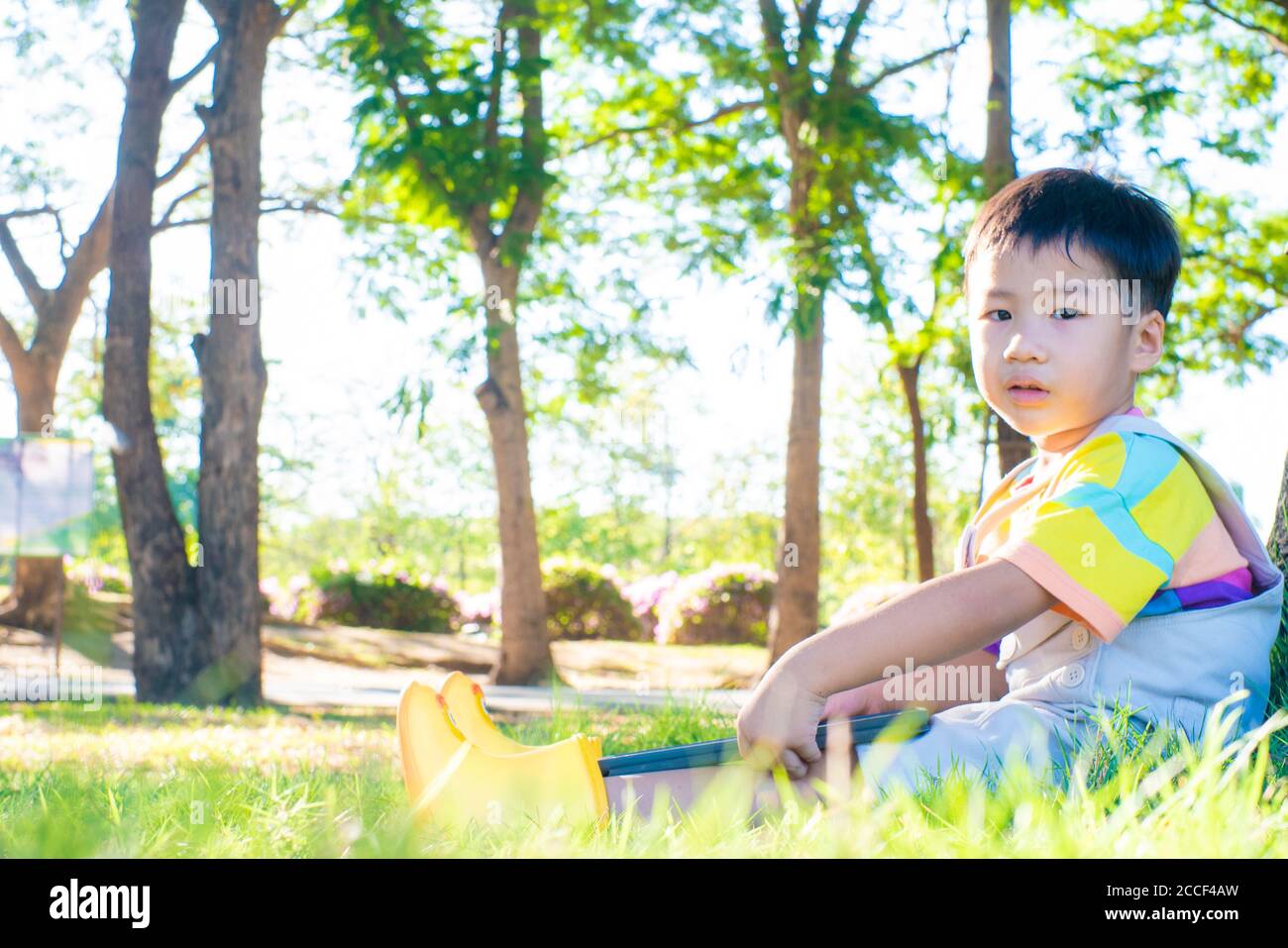 Boy Sitting Under Tree In High Resolution Stock Photography and Images ...