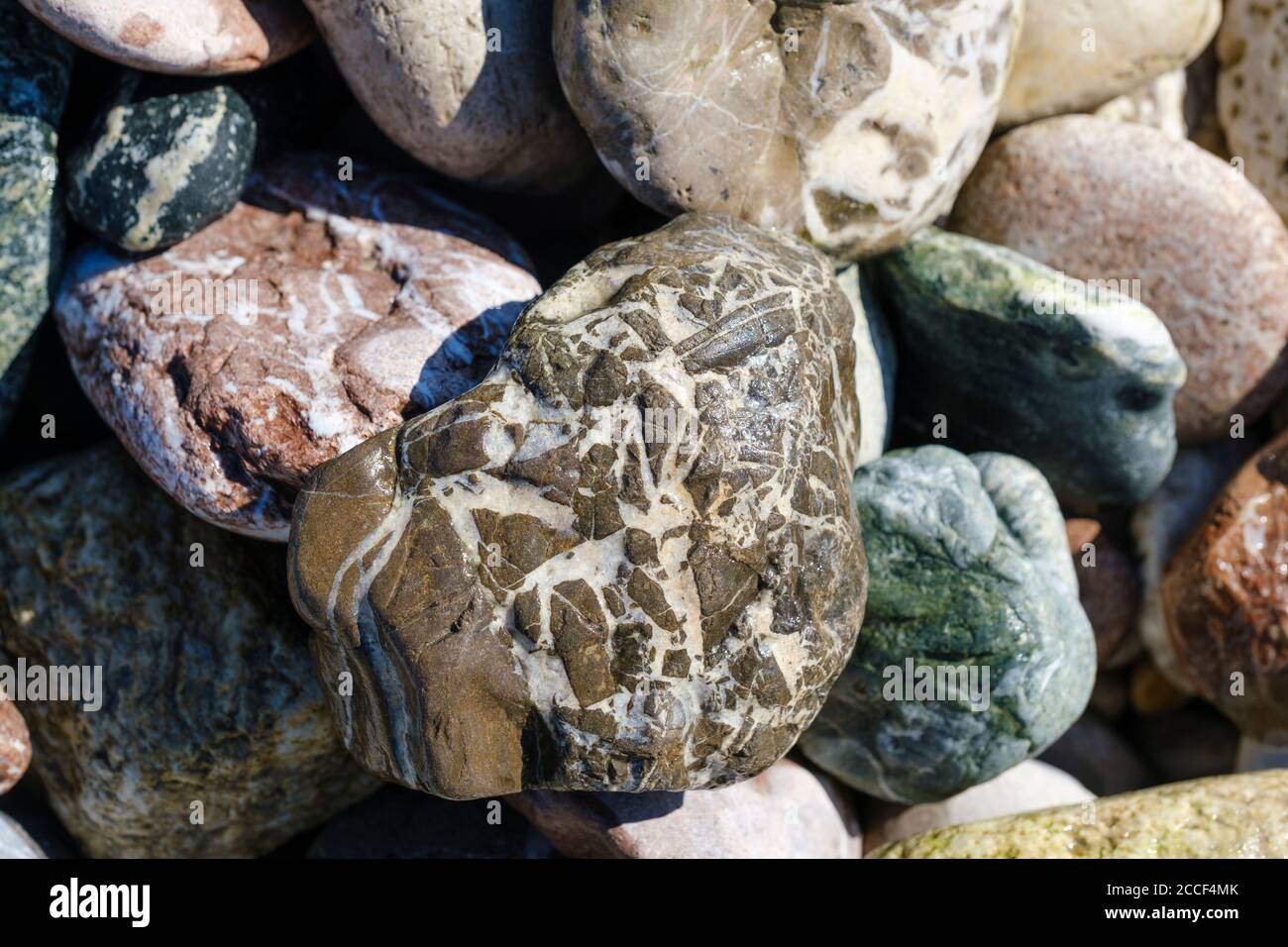 Breccia, pebbles on gravel bank in Isarauen, near Geretsried, Upper ...