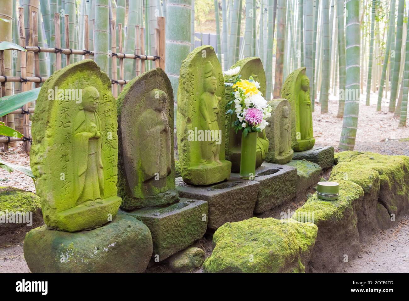 Kanagawa, Japan - Bamboo forest at Hokokuji Temple in Kamakura ...