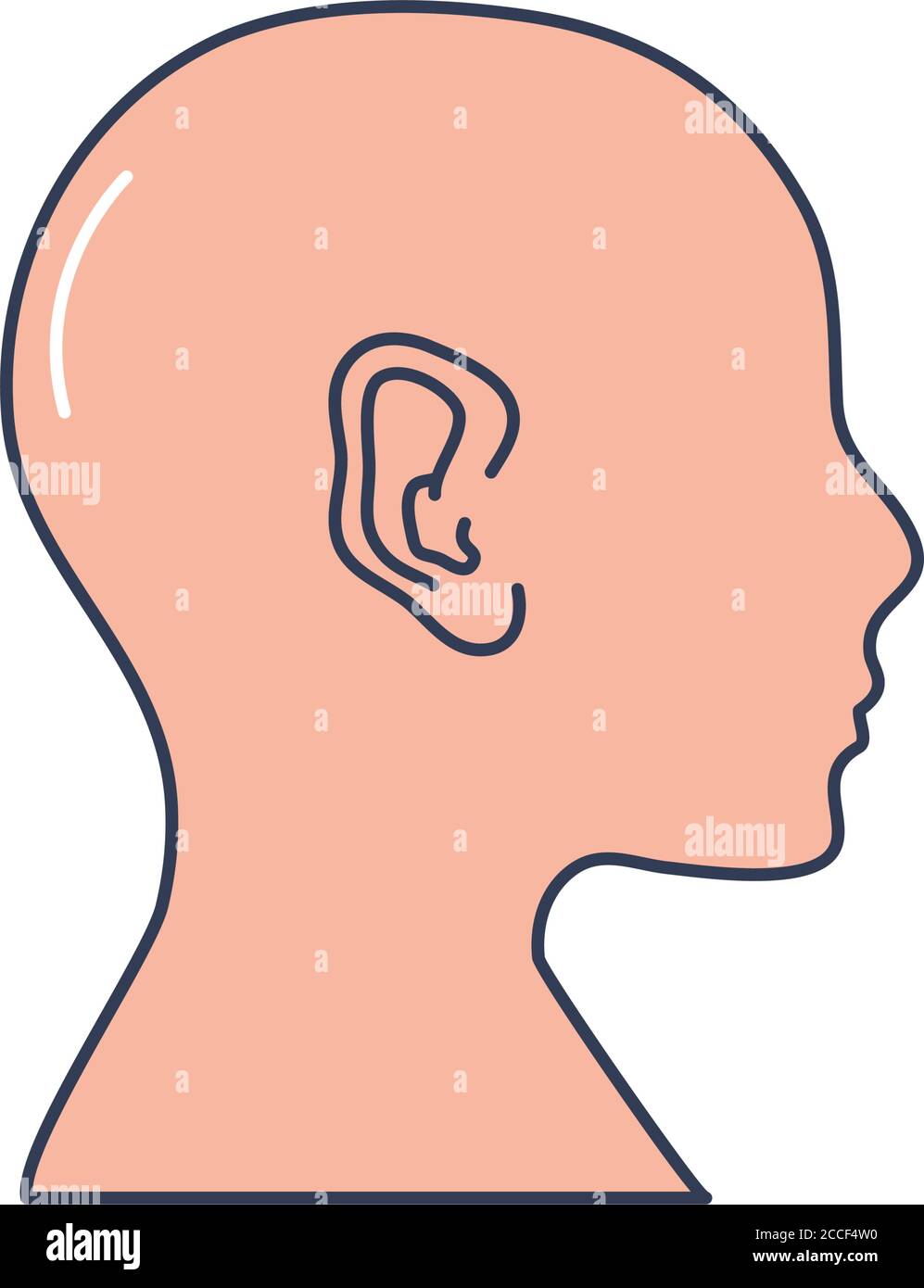 human body concept, profile head icon over white background, line fill ...