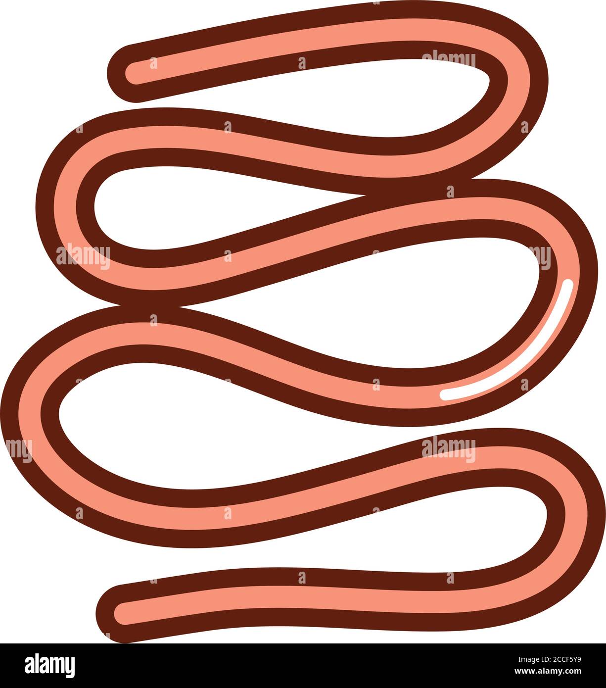 human body small intestine anatomy organ health line and fill icon ...