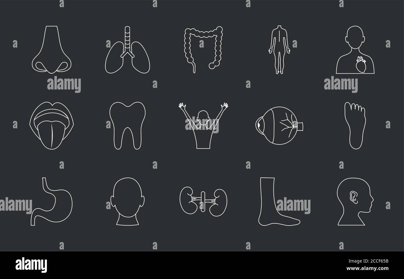 tooth and human body parts icon set over black background, line style ...