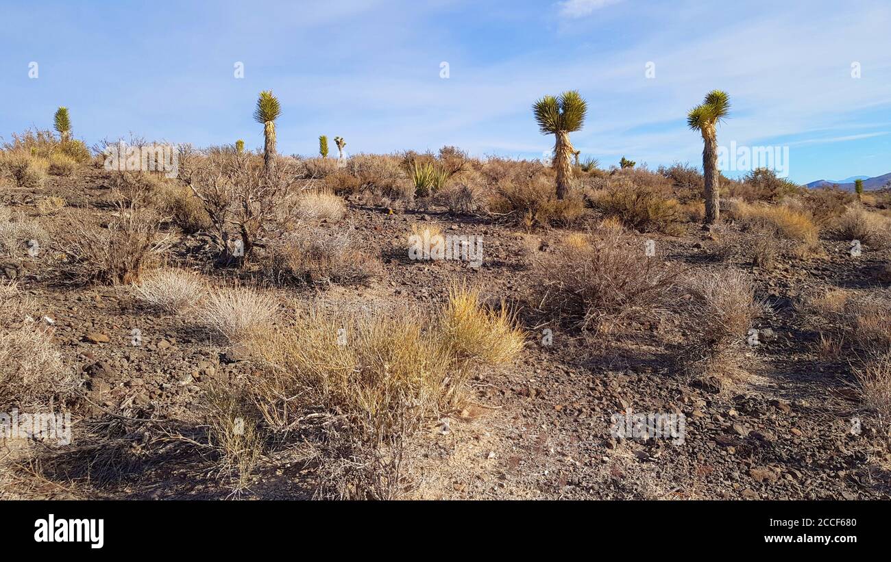 Dry desert plain landscape hi-res stock photography and images - Alamy