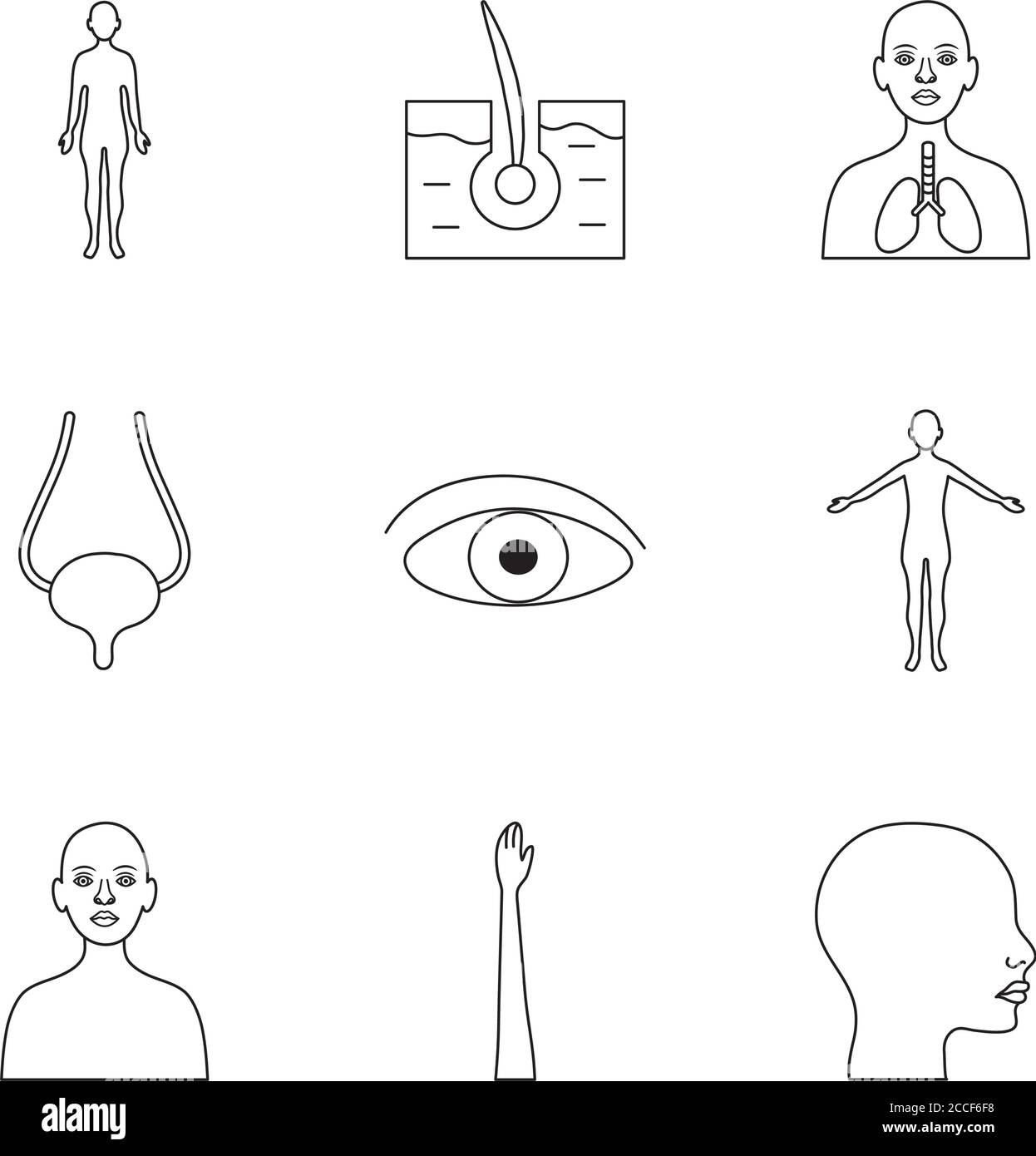 Eye And Human Body Parts Icon Set Over White Background Line Style Vector Illustration Stock