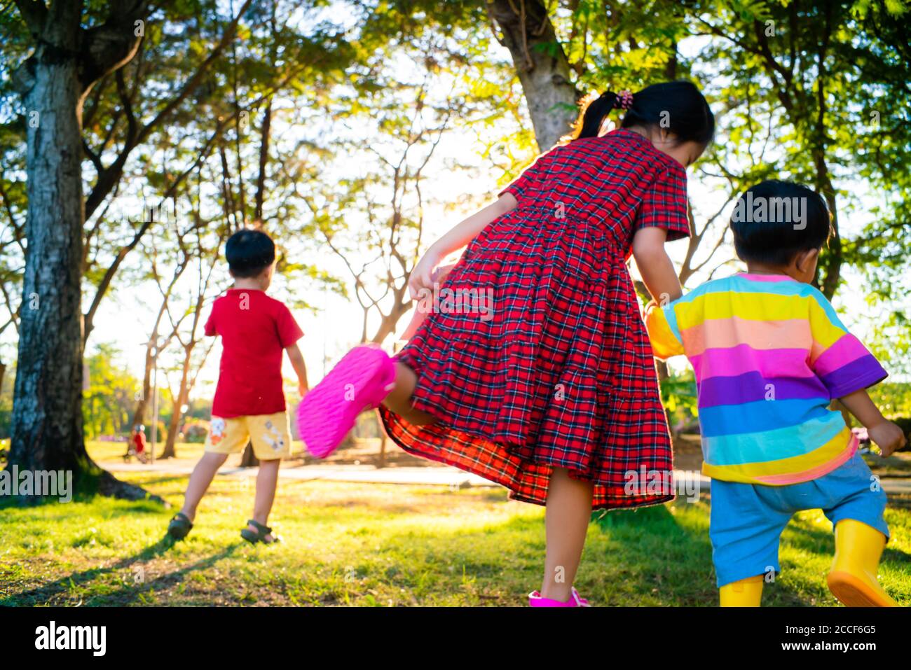 Group of happy children playing on green grass activity sunset light ...