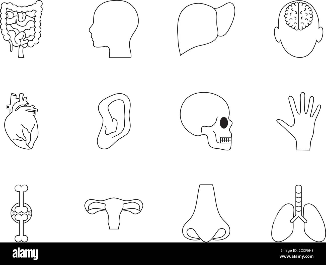 Head And Human Body Icon Set Over White Background Line Style Vector