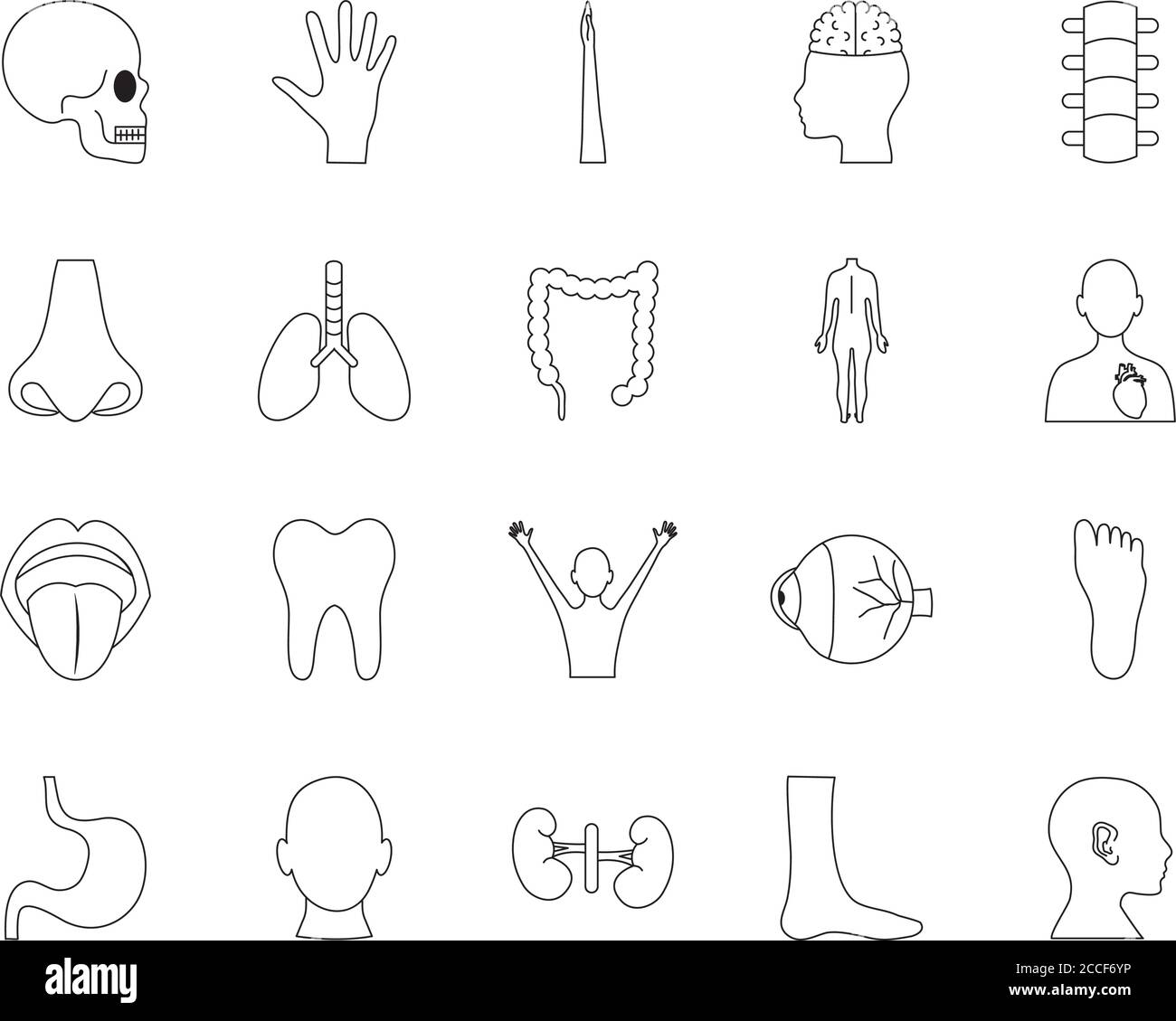 lungs and human body parts icon set over white background, line style ...