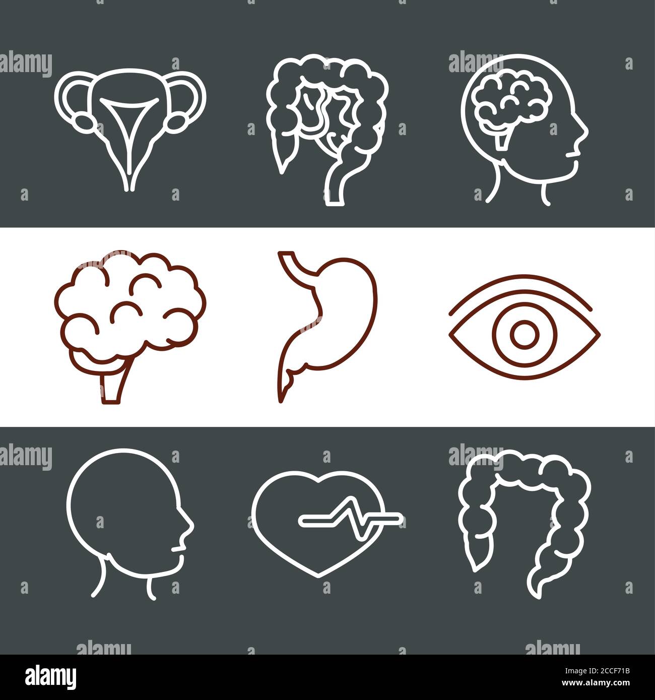 human body anatomy organs health icons collection line style vector ...