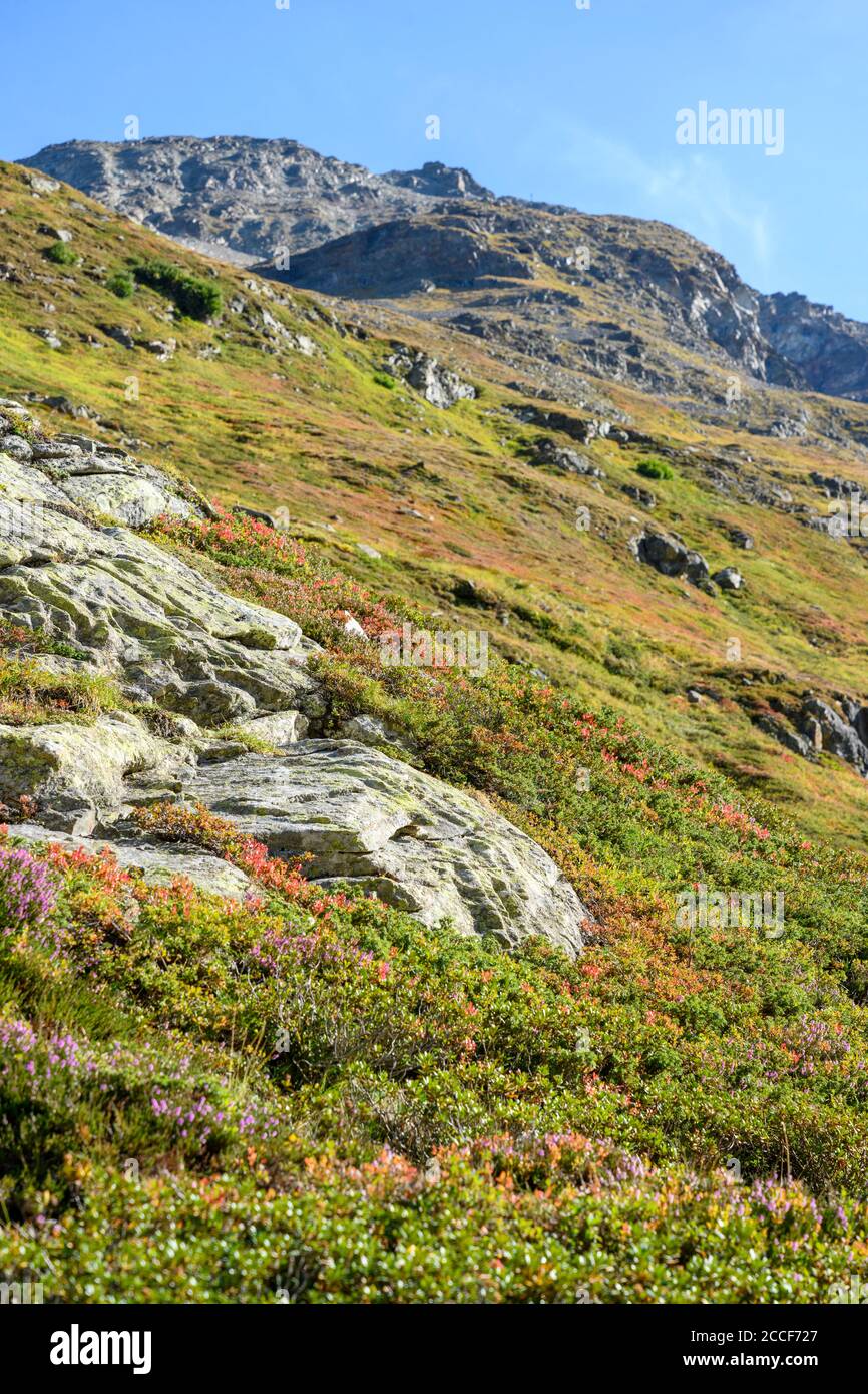 Austria, Montafon, landscape above Lake Silvretta with the typical ...