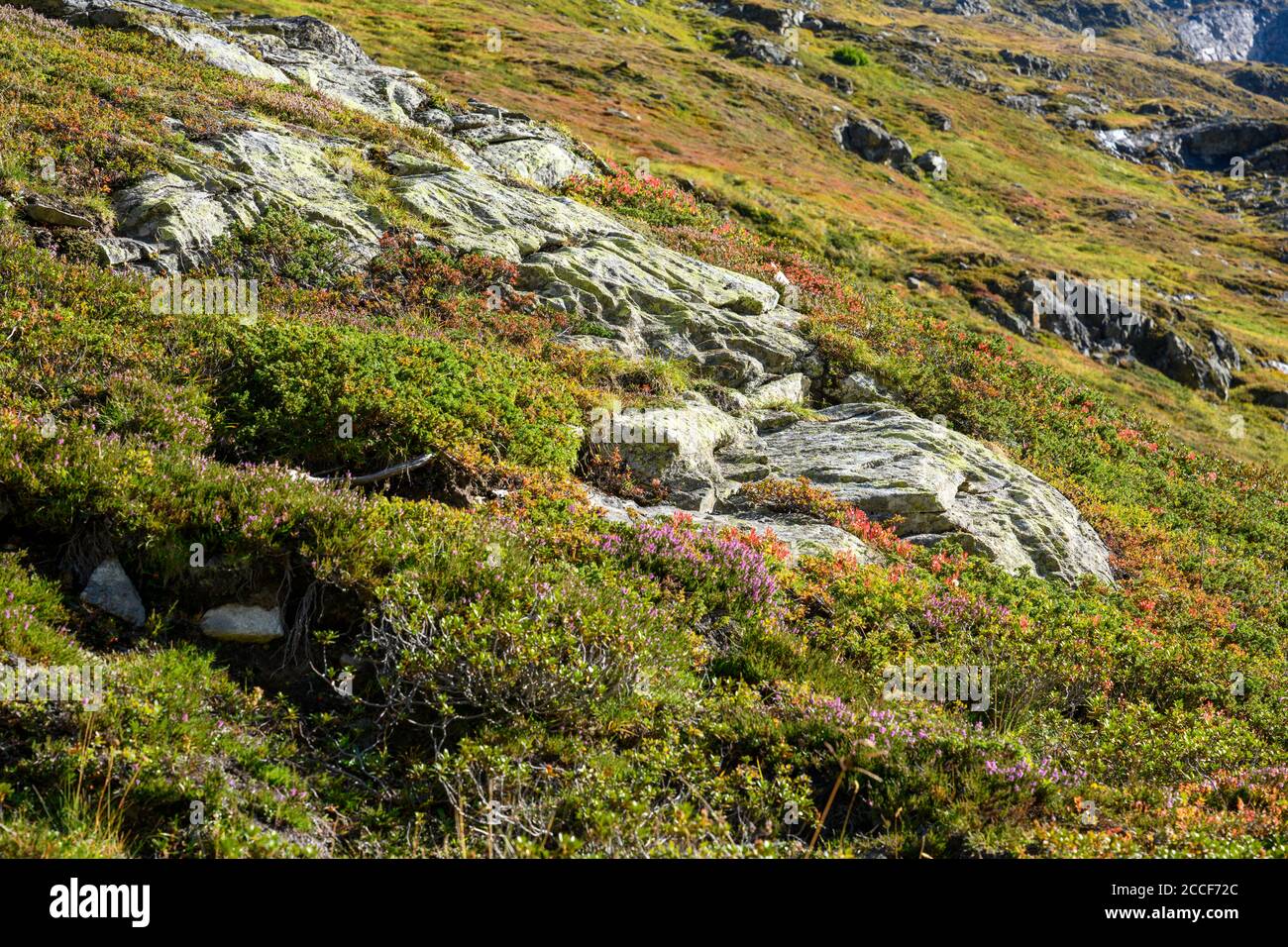 Austria, Montafon, landscape above Lake Silvretta with the typical ...