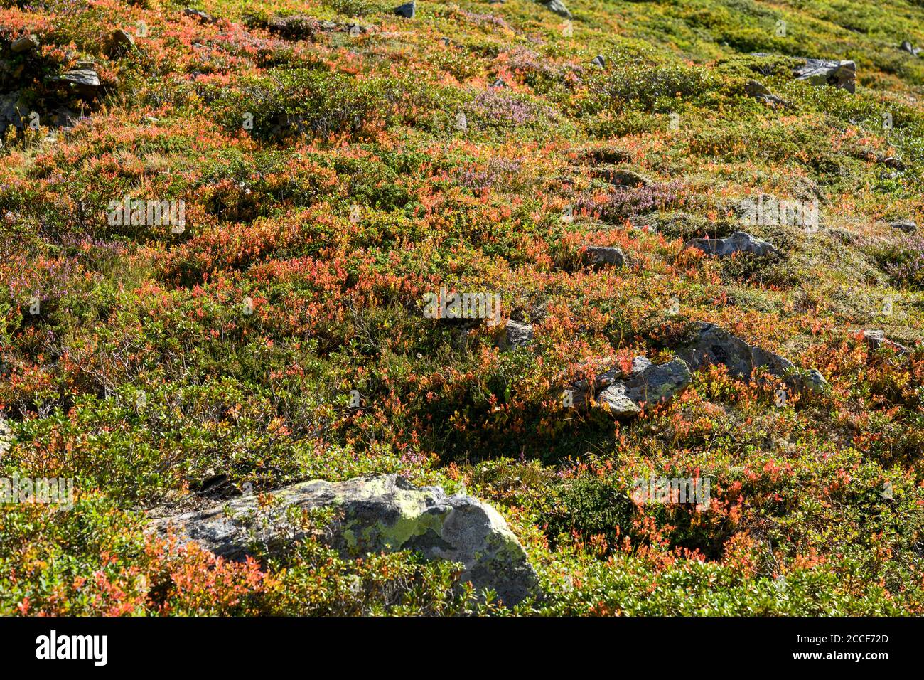 Austria, Montafon, landscape above Lake Silvretta with the typical ...