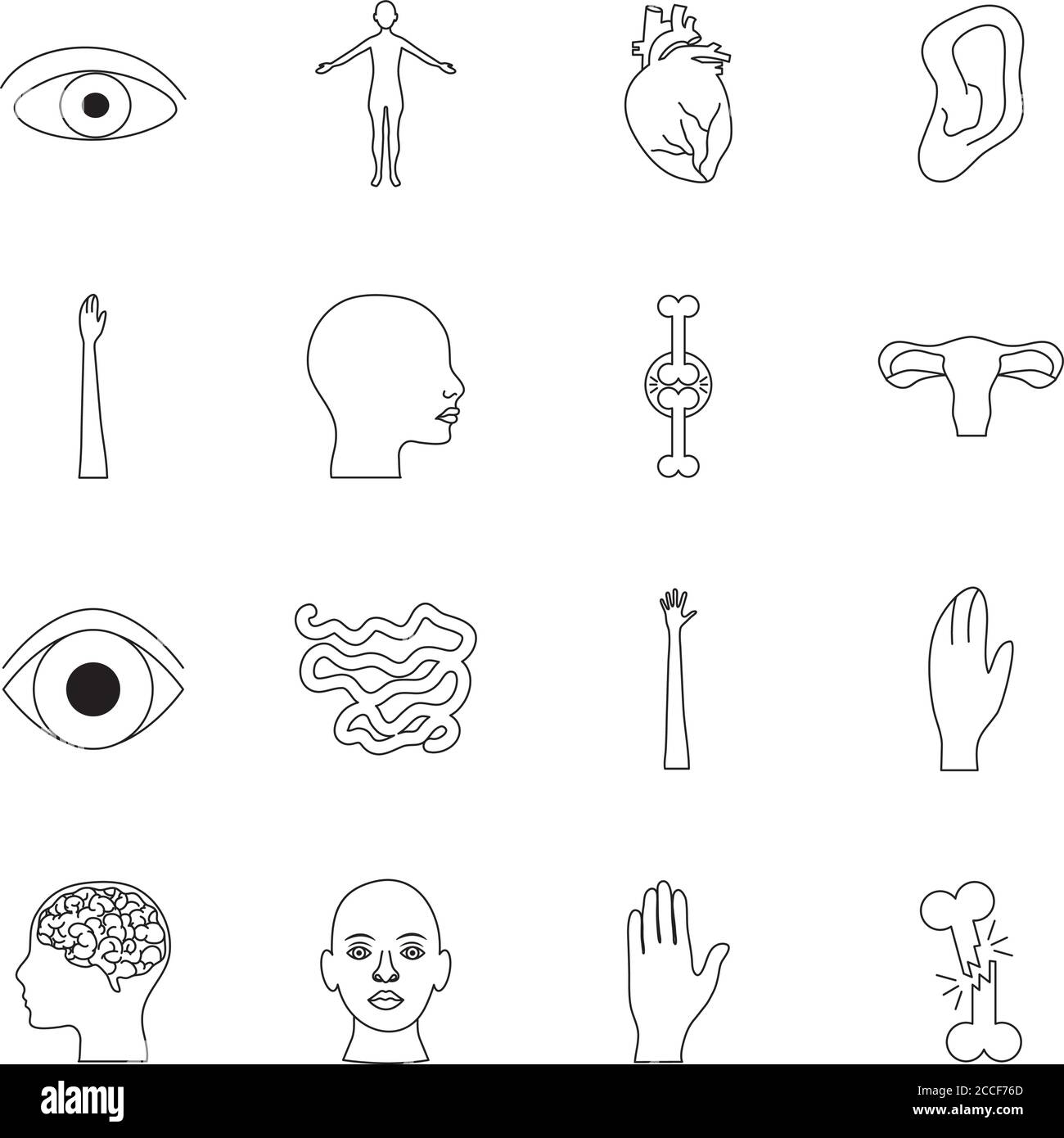 Hands And Human Body Icon Set Over White Background Line Style Vector