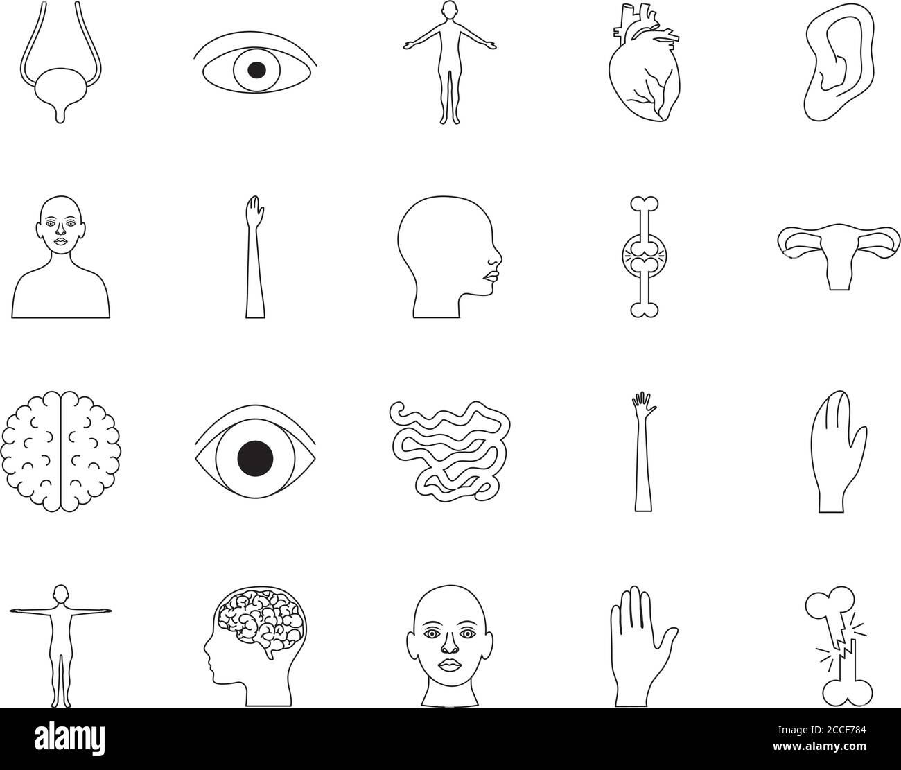 eye and human body icon set over white background, line style, vector ...