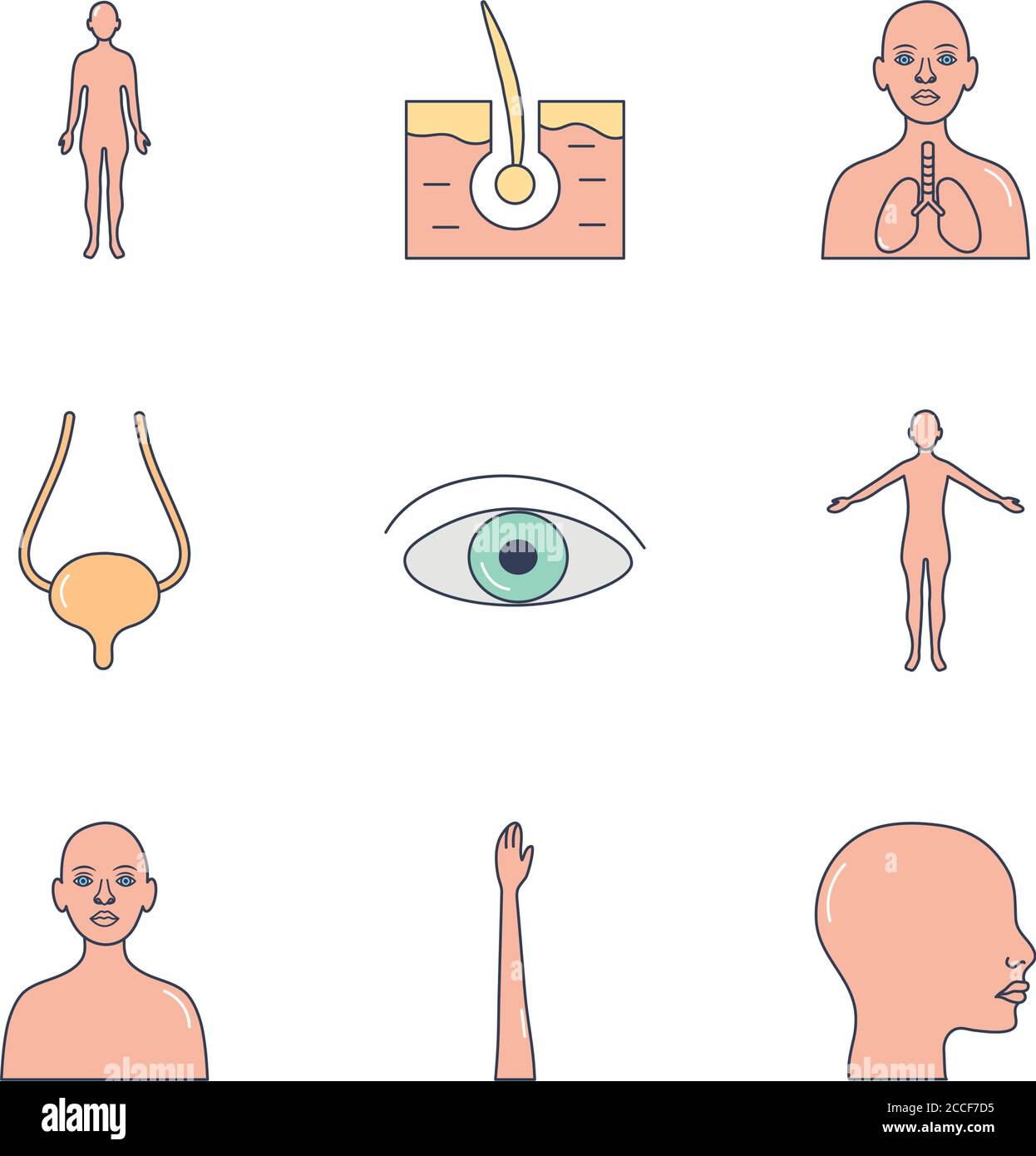 Eye And Human Body Parts Icon Set Over White Background Line Fill
