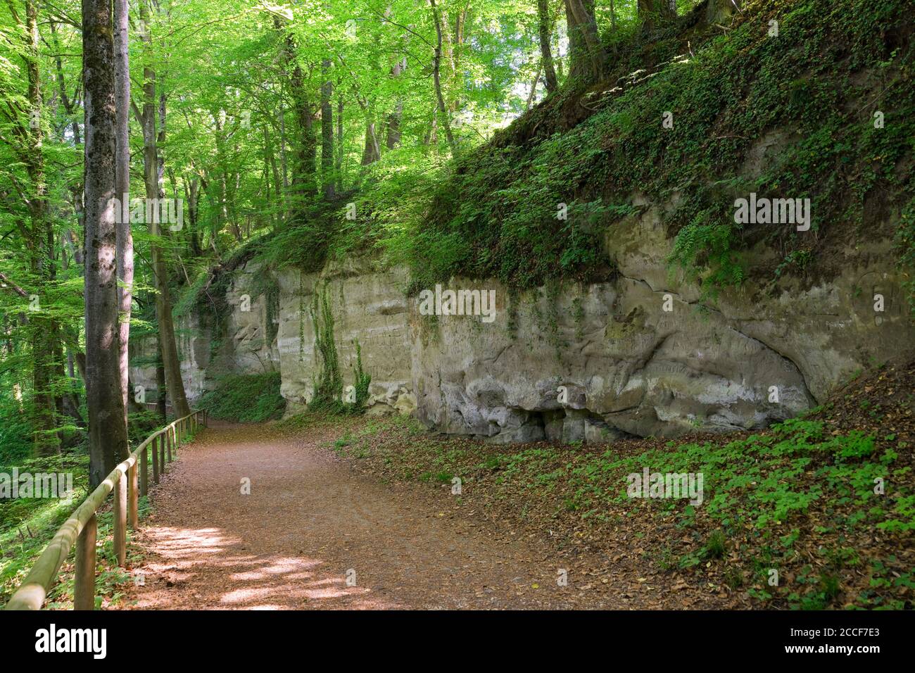 Sippling molasse basin hi-res stock photography and images - Alamy