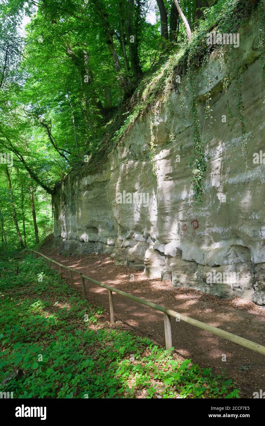 Sippling molasse basin hi-res stock photography and images - Alamy
