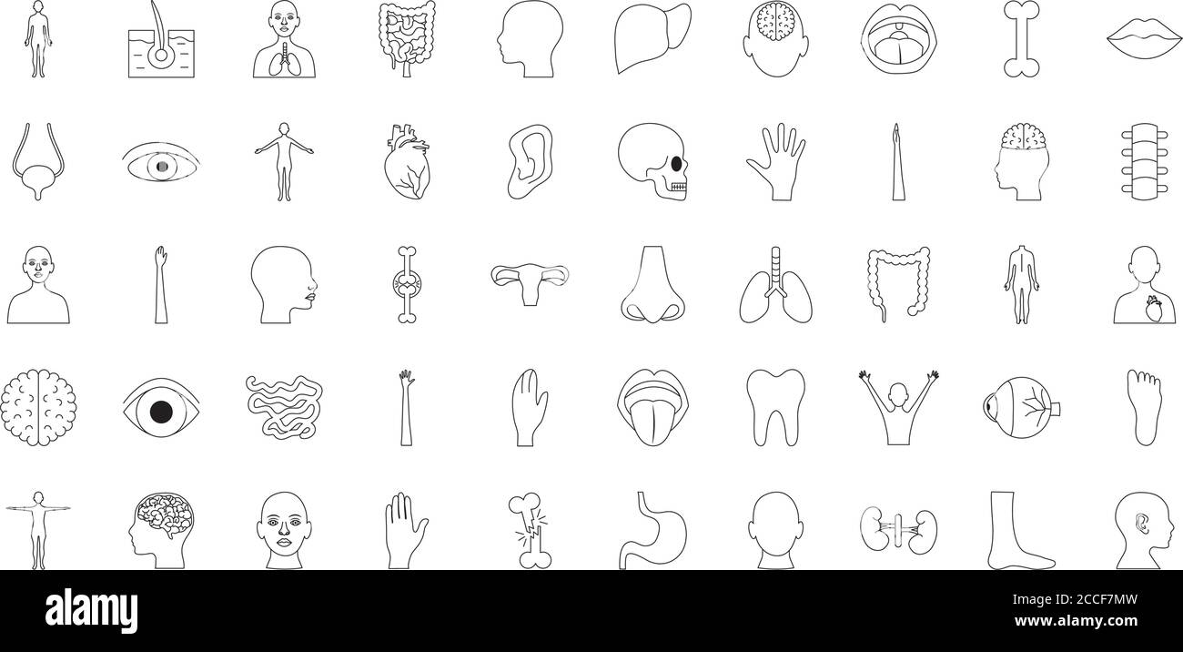 Human Body Organs And Parts Icon Set Over White Background Line Style