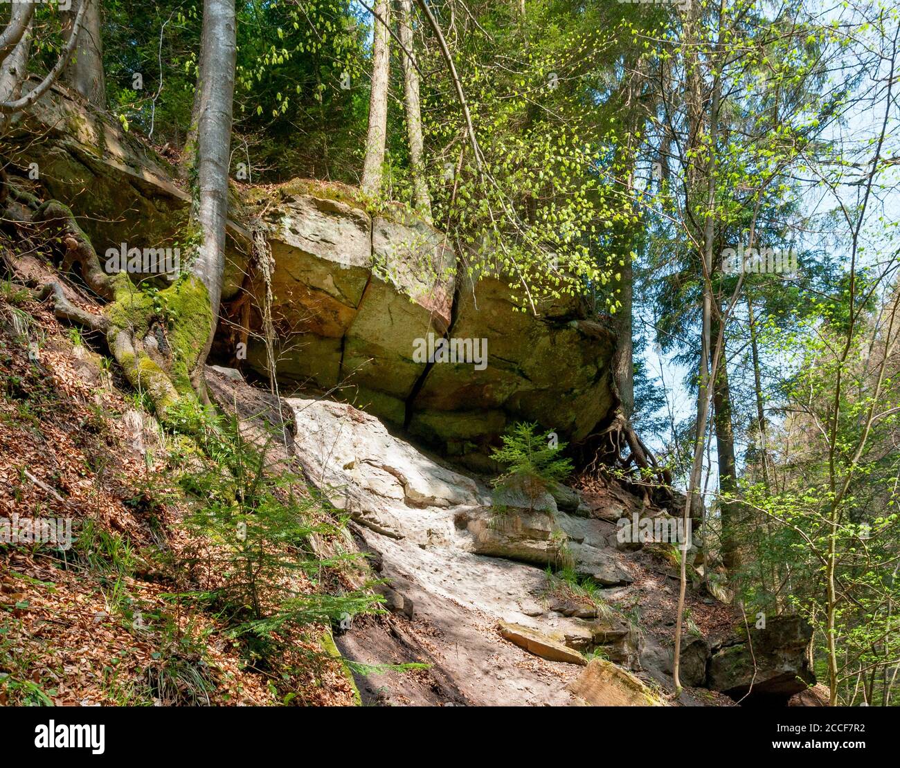 Germany, Baden-Württemberg, Murrhardt, rock overhang at the Upper ...