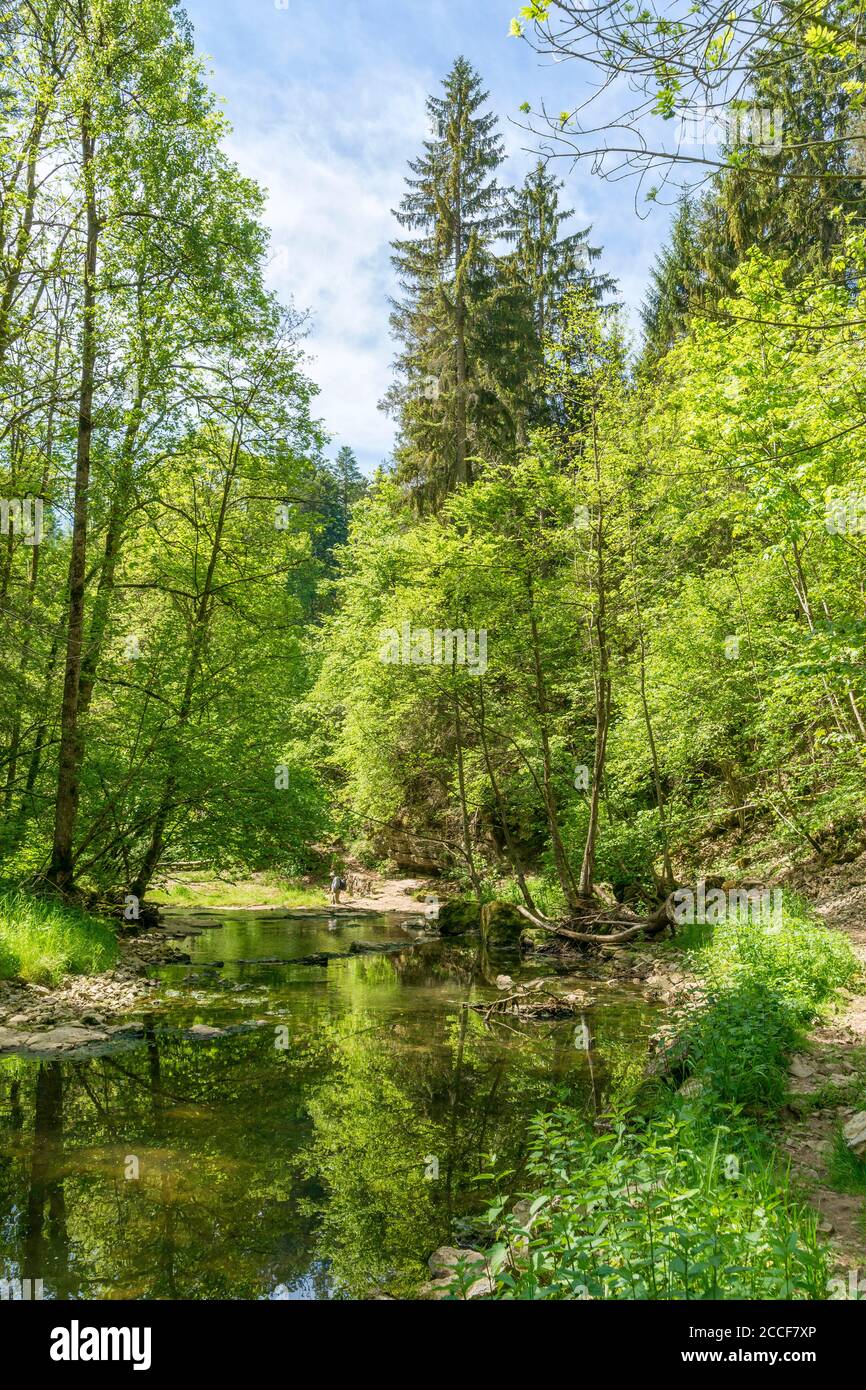 Germany, Baden-Württemberg, Epfendorf, in the Schischemklamm shortly ...