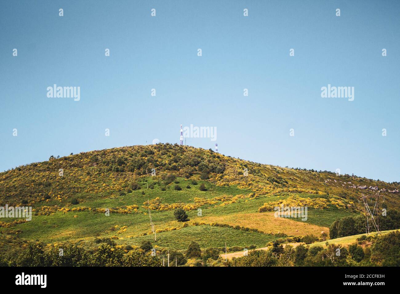 small mountain of pine trees with the moon rising behind against blue ...