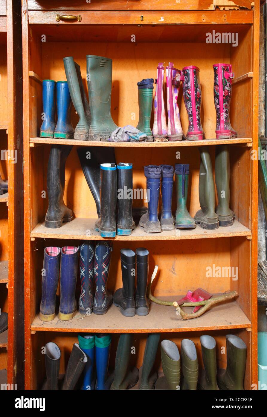 Colorful rubber boots on a shelf, Germany, Europe Stock Photo - Alamy