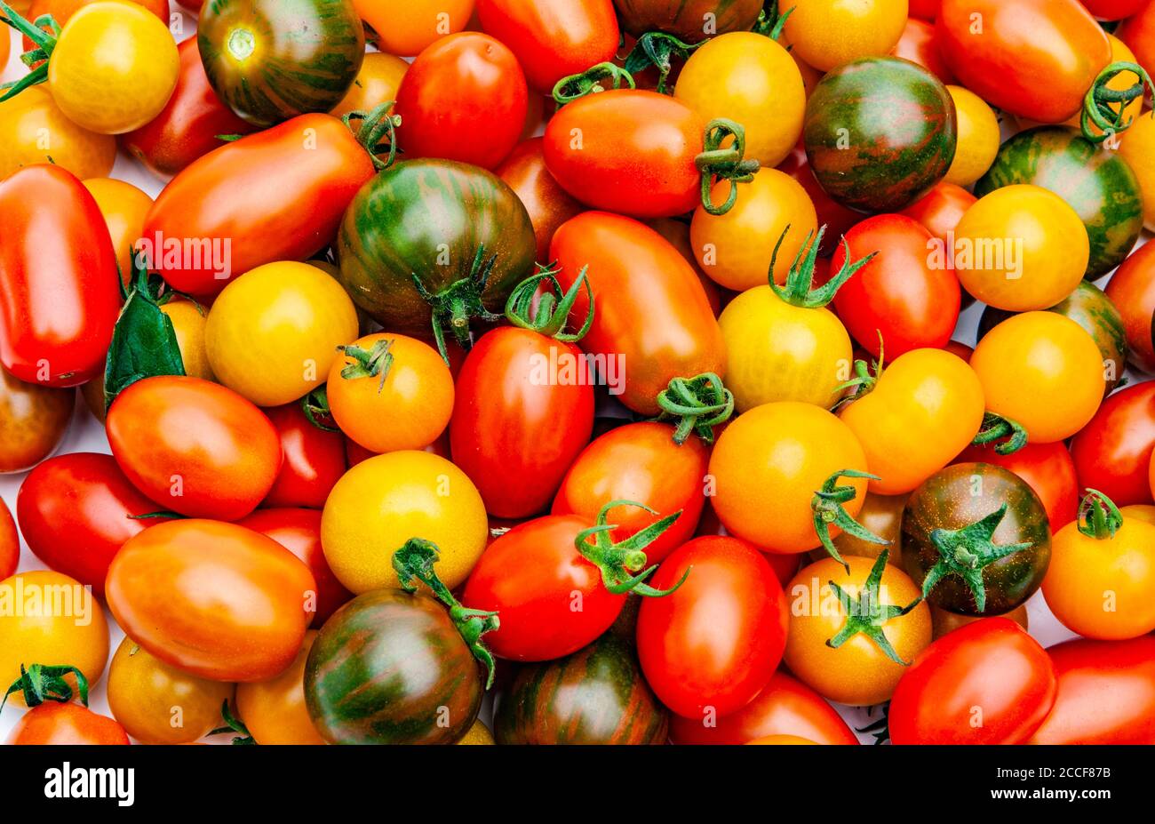 Different colored cherry tomatoes from fresh harvest Stock Photo - Alamy