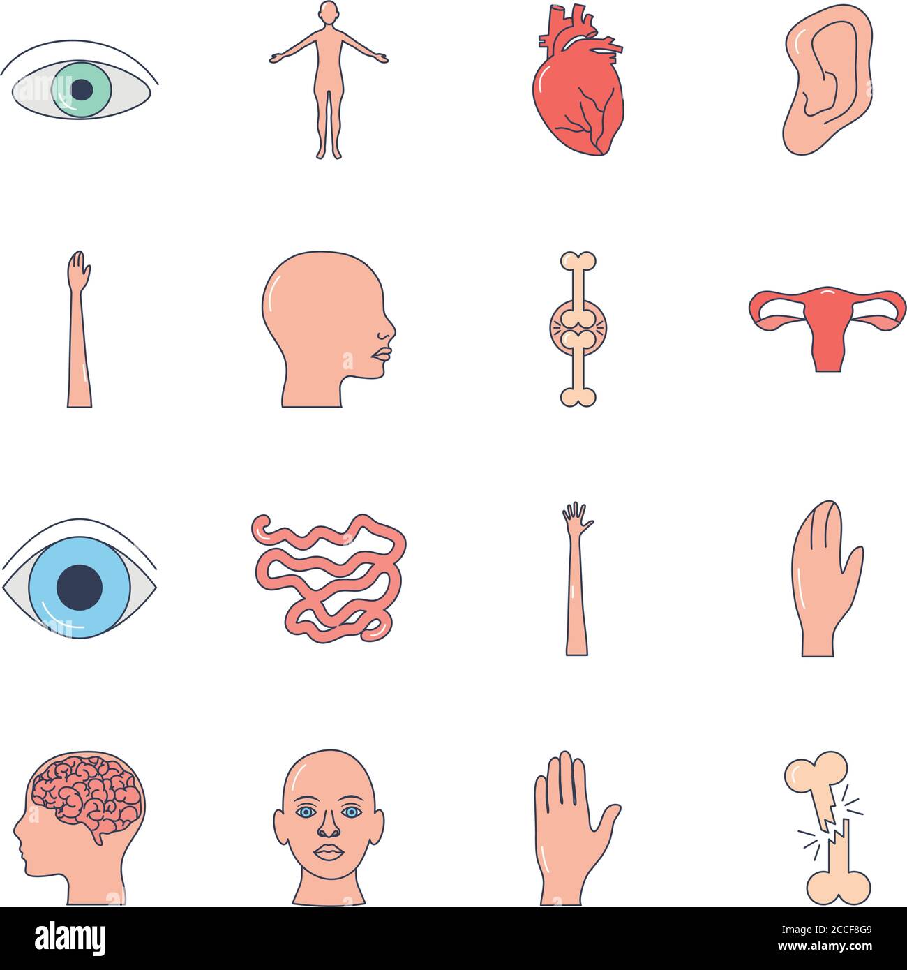 hands and human body icon set over white background, line fill style ...