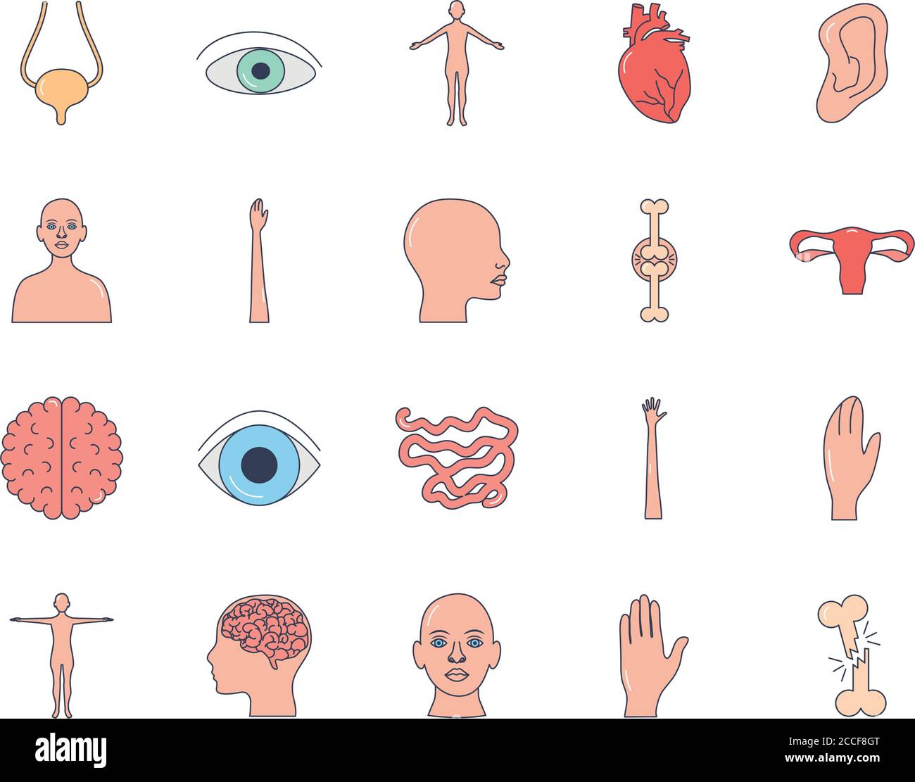 eye and human body icon set over white background, line style, vector ...
