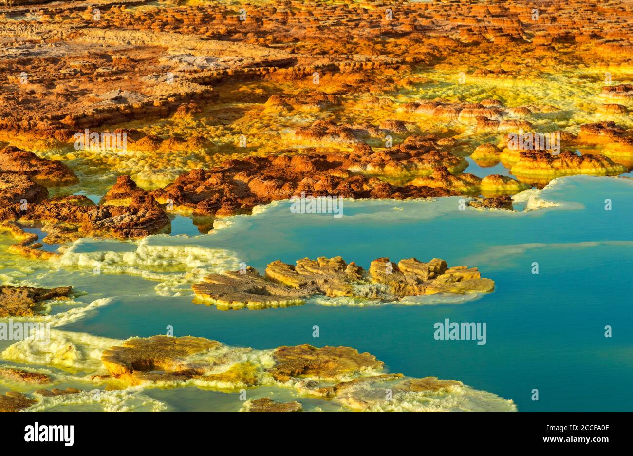 Brine Lake Octonauts