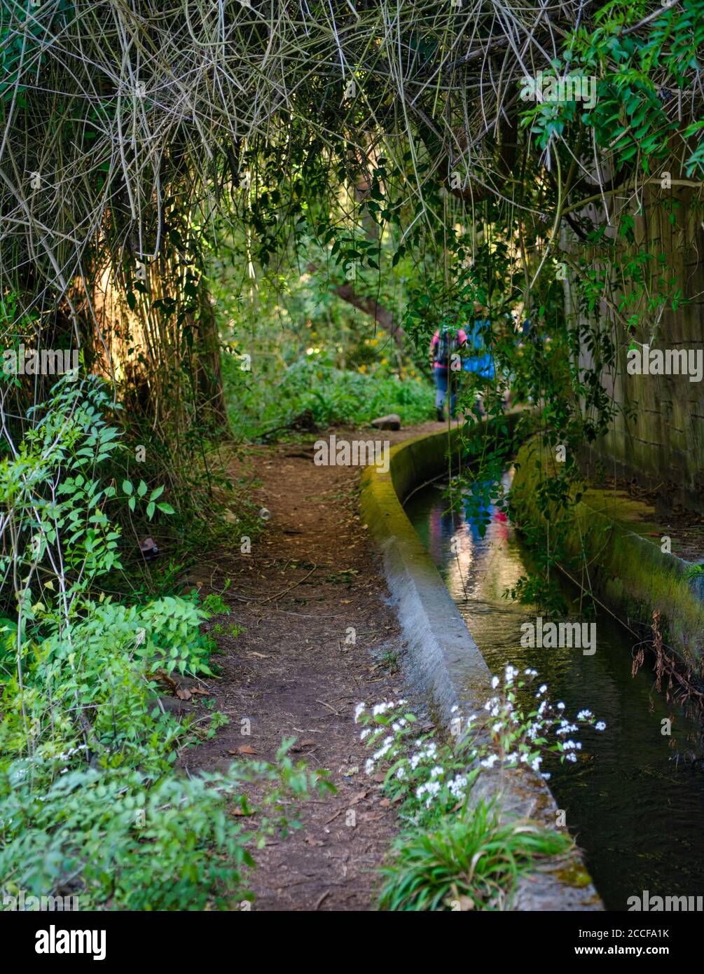 Hike on the Levadas to Monte - 'Levada dos Tornos' Funchal, Madeira ...