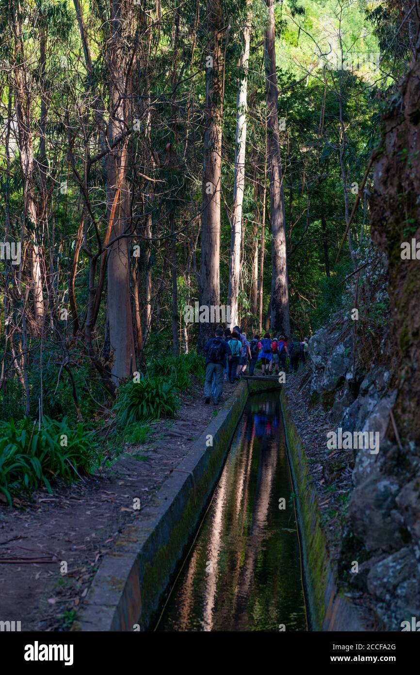 Hike on the Levadas to Monte - 'Levada dos Tornos' Funchal, Madeira ...